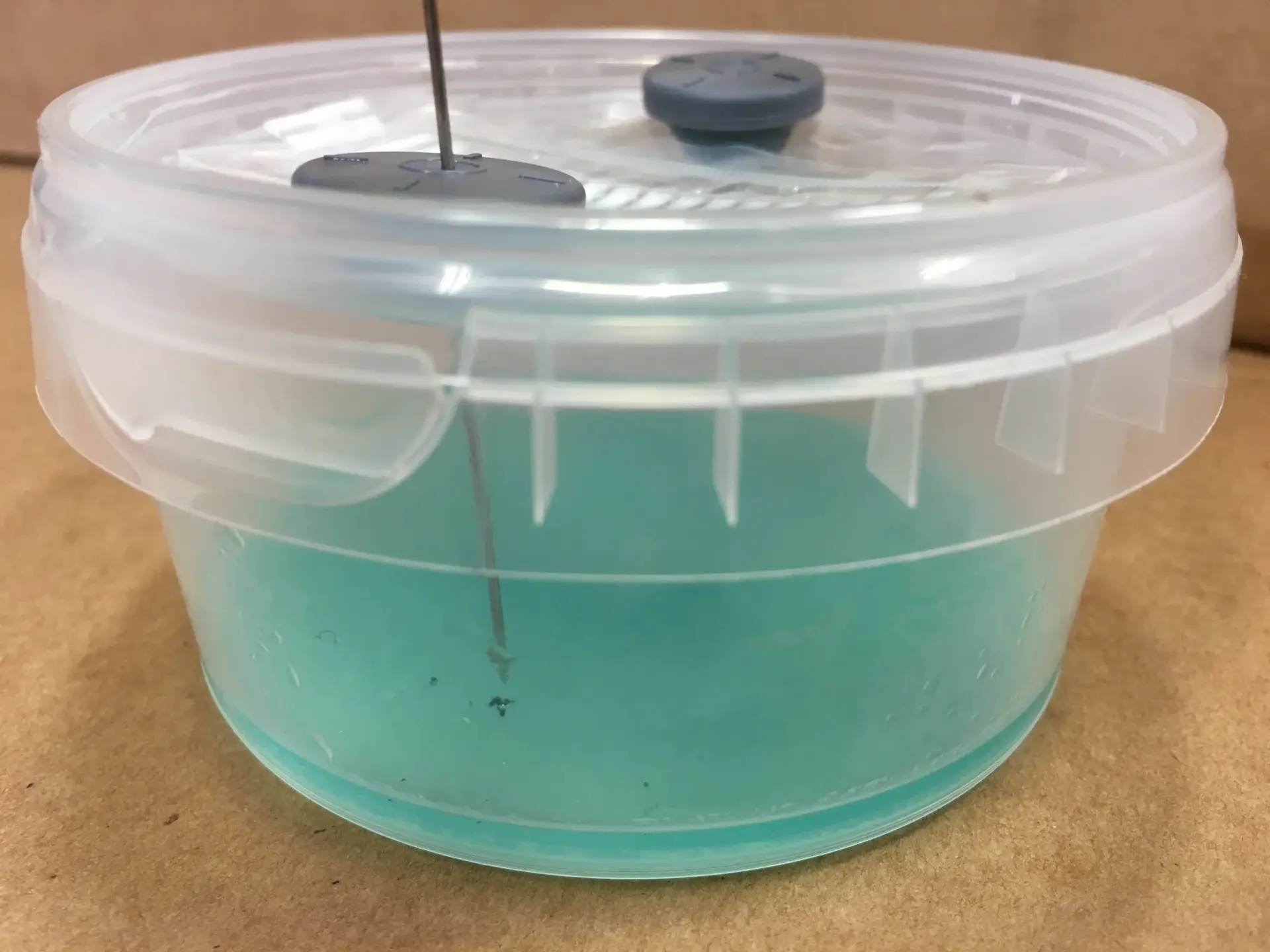 Open Air Agar Pots - Spore Buddies