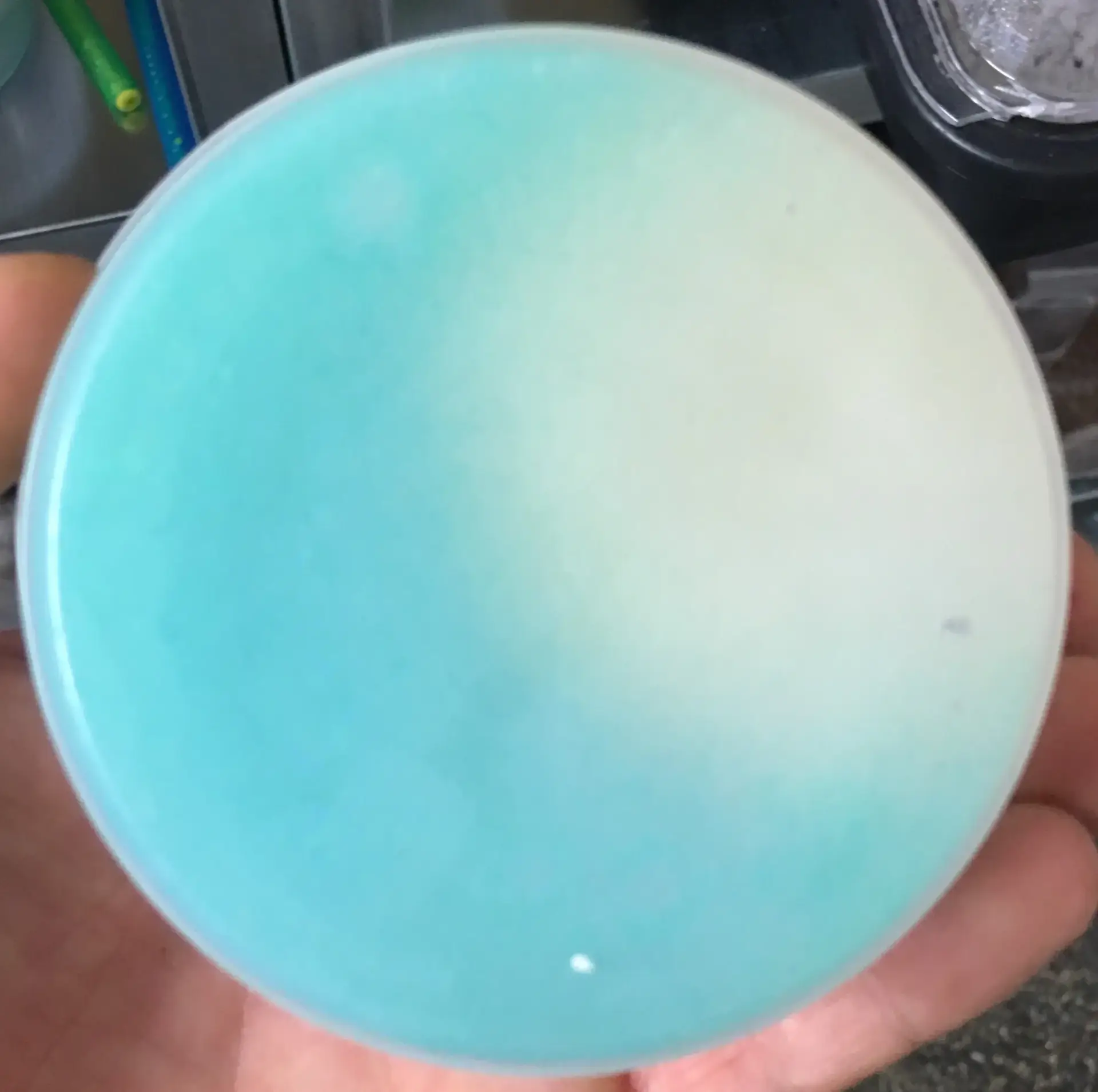 Buy Open Air Agar Pots - Spore Buddies