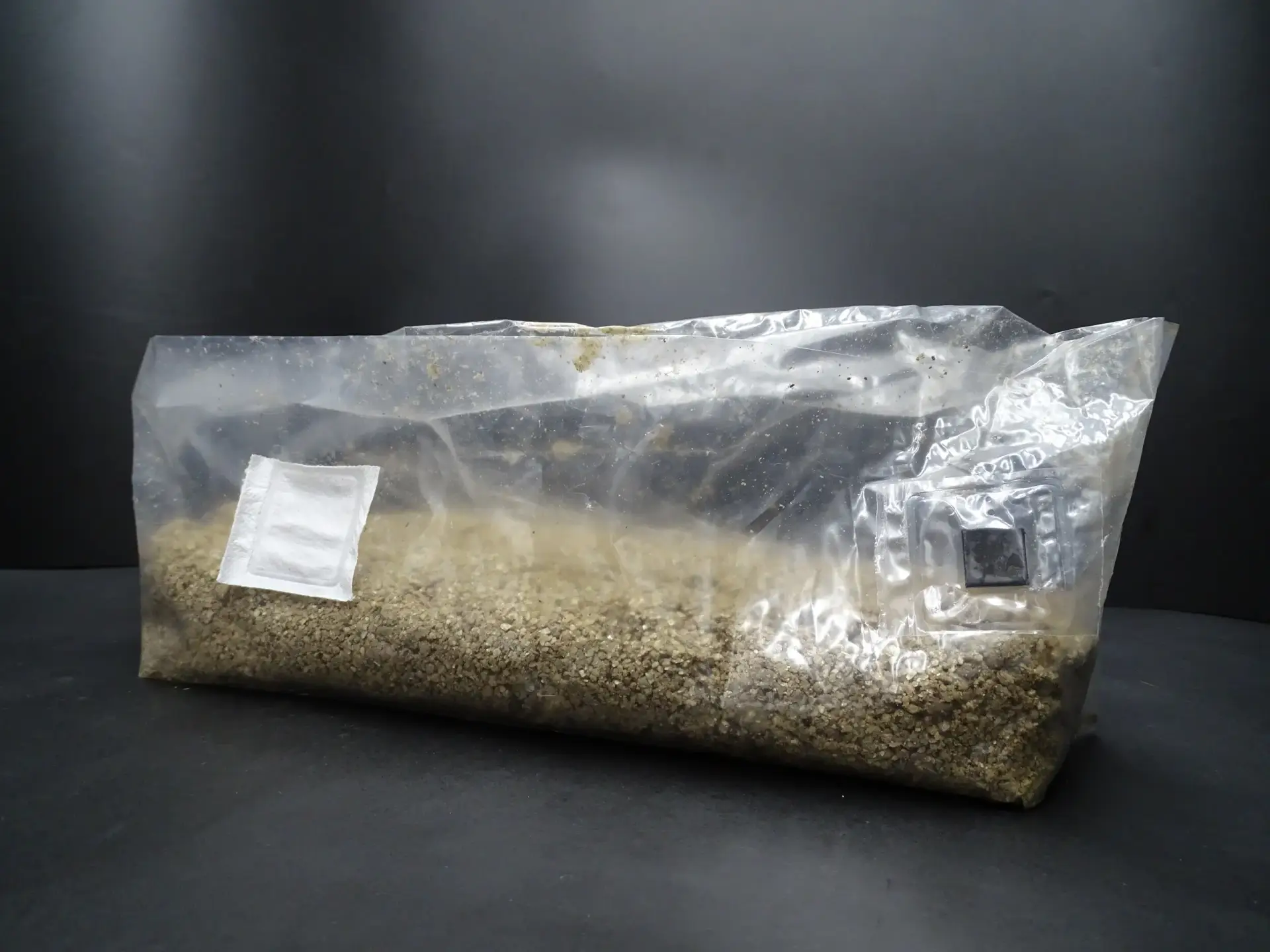 Sterile Mushroom Grow Kit | Best Mushroom Grow Bags Kits