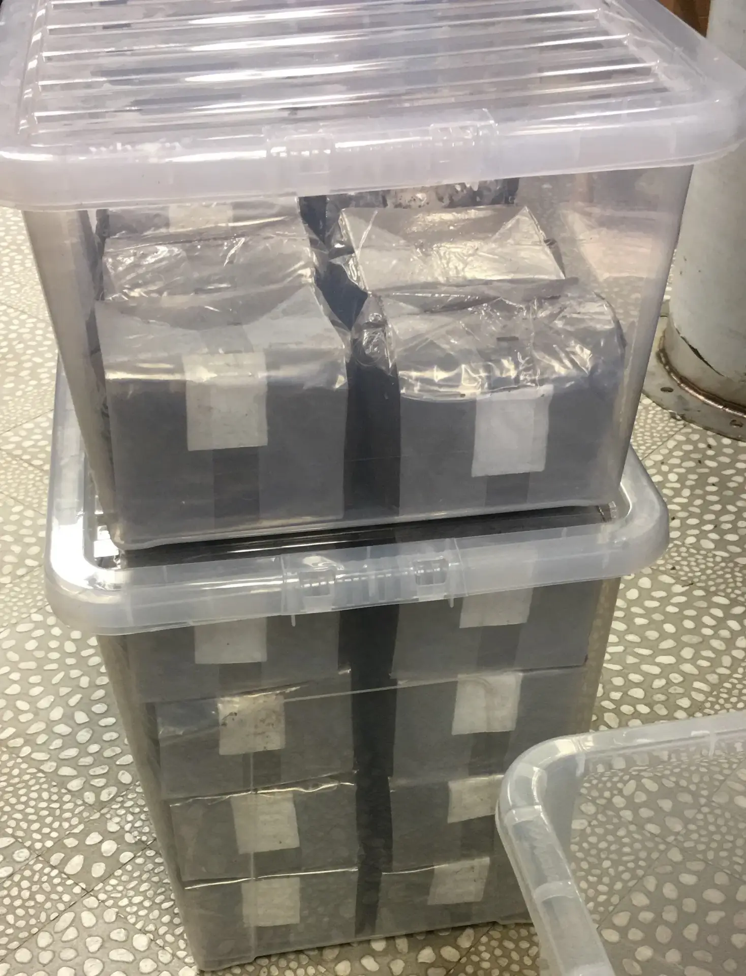 Master’s Mix Substrate - BUY - Spore Buddies