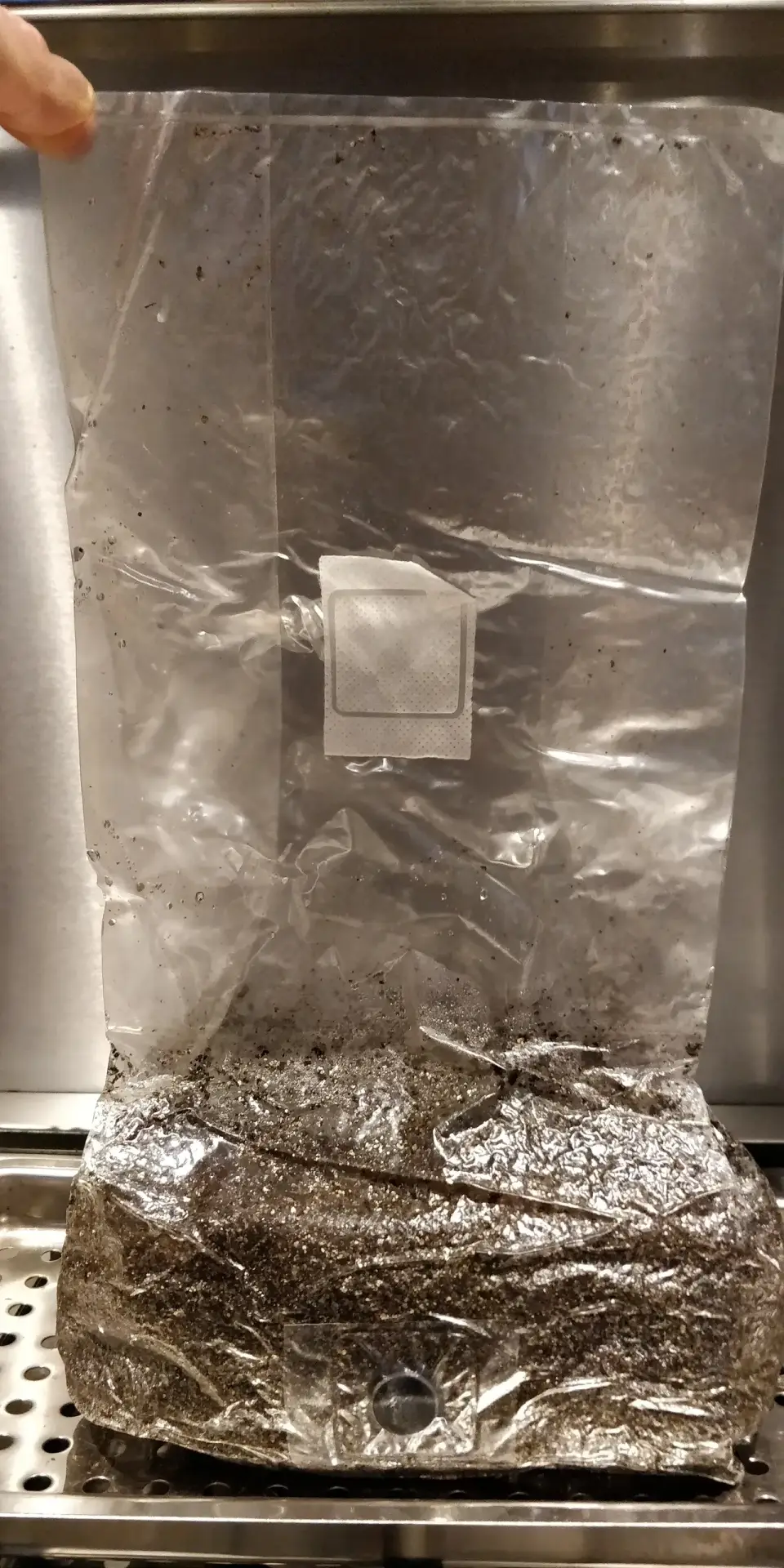 Buy Extra large mushroom growing bag uk - BUY - Spore Buddies