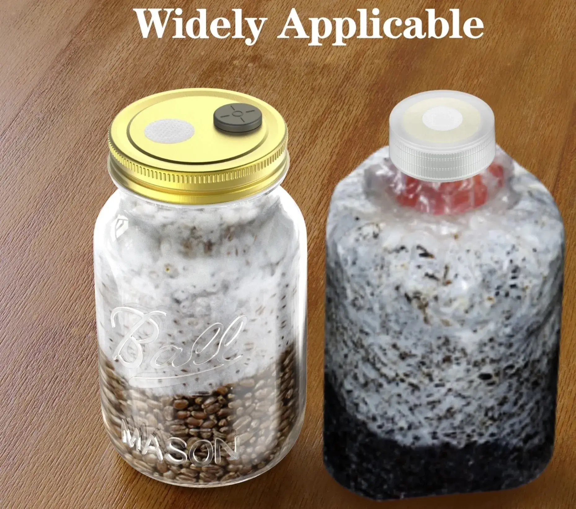 Mycology Synthetic Filter Discs — Pack of 64 | SporeBuddies