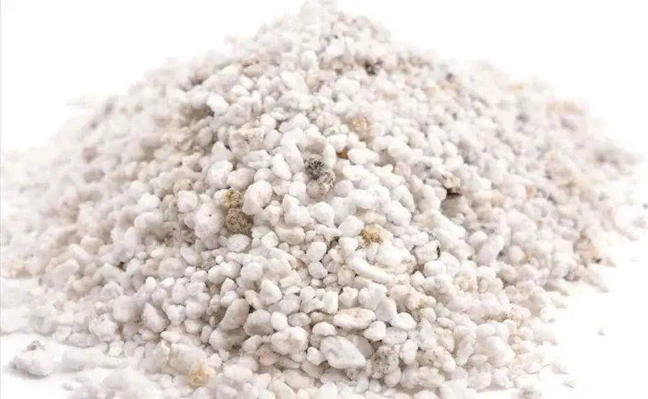 Buy Perlite for mushroom cultivation - Spore Buddies