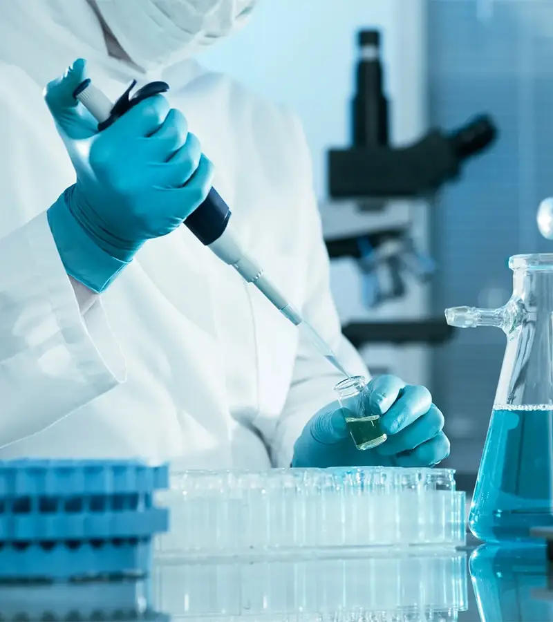 Best Quality Magic Mushroom Spores | Magic Mushroom Spores UK