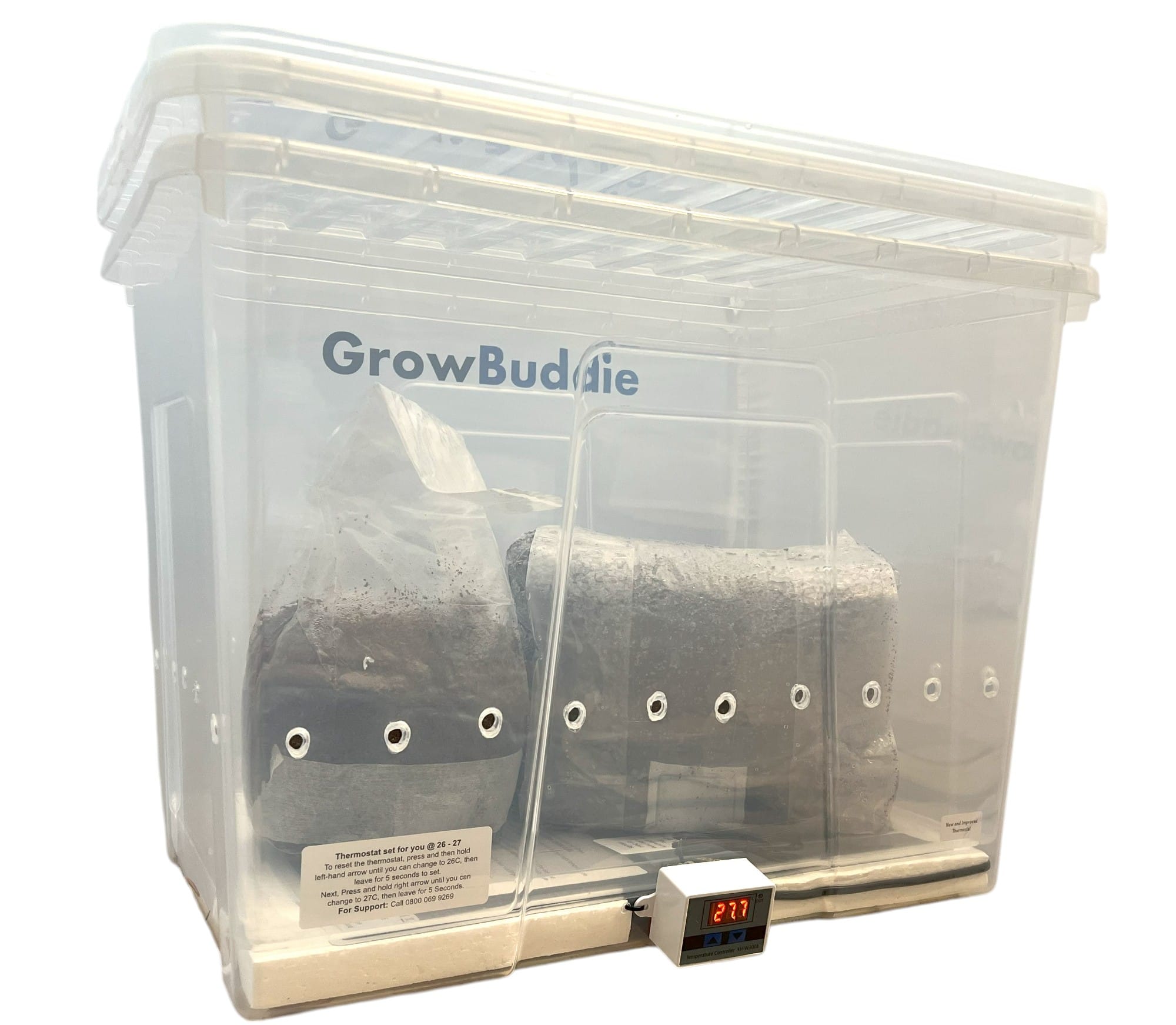 Buy Extra large mushroom growing bag uk - BUY - Spore Buddies