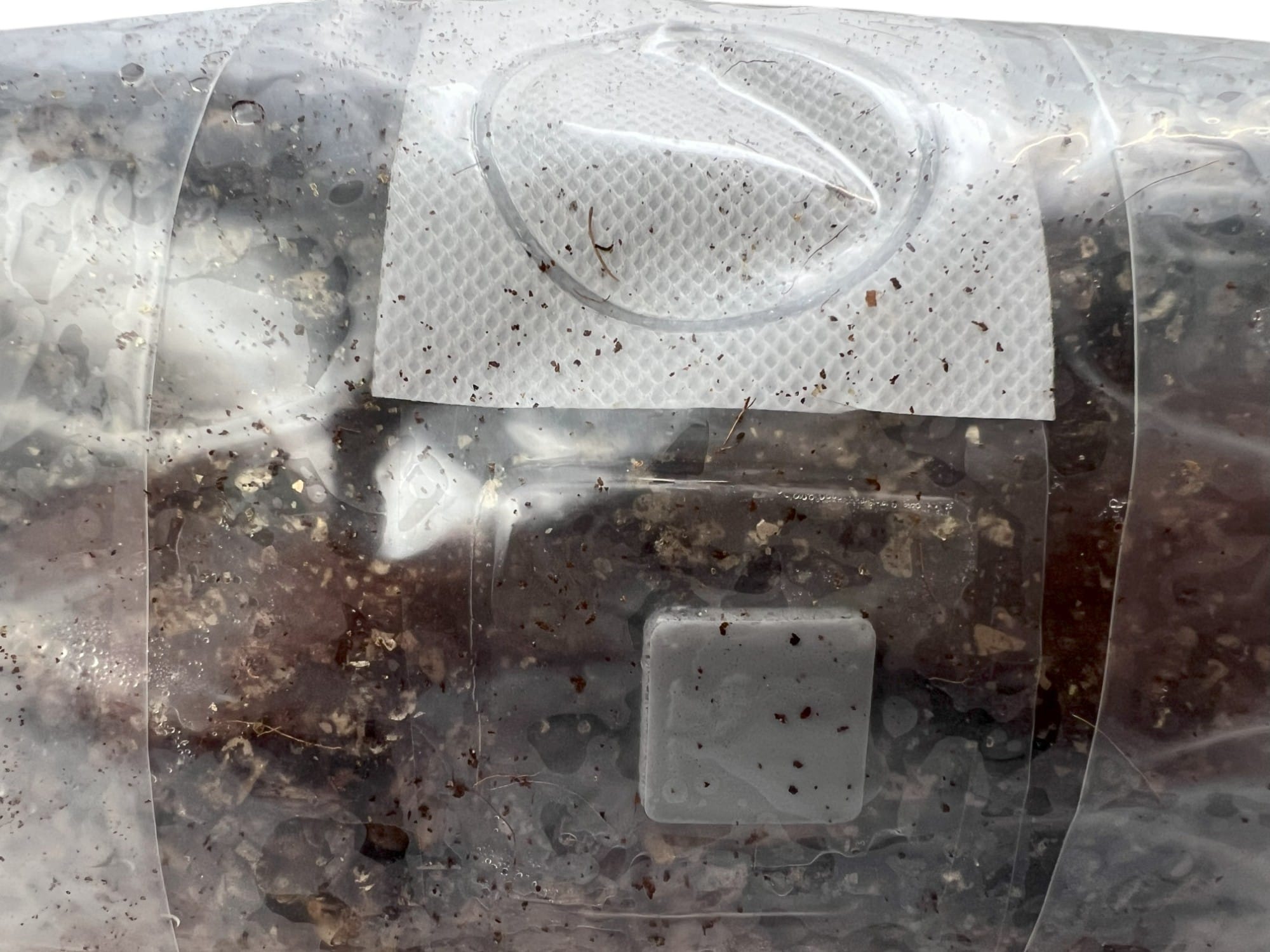 25L Mushroom Monotub with Stick-On Filter Patches | SporeBuddies