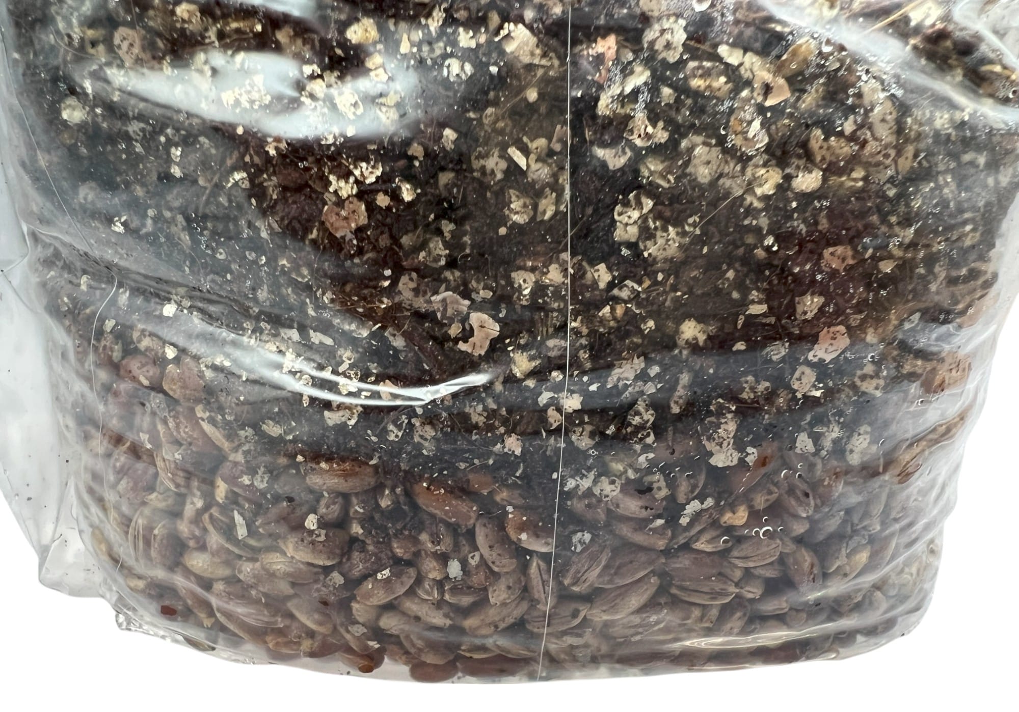 All in one Monotub bag 4lbs - BUY - Spore Buddies