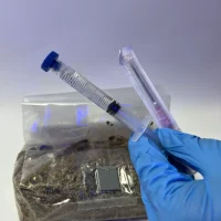 Magic Mushroom Spores UK | Buy Mushroom Spores Online